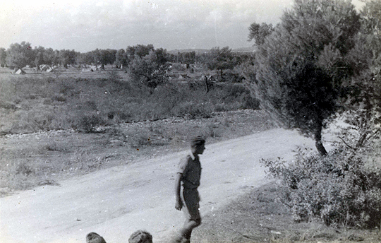 New Zealanders in the Italian Campaign in WWII 1943 - 1945